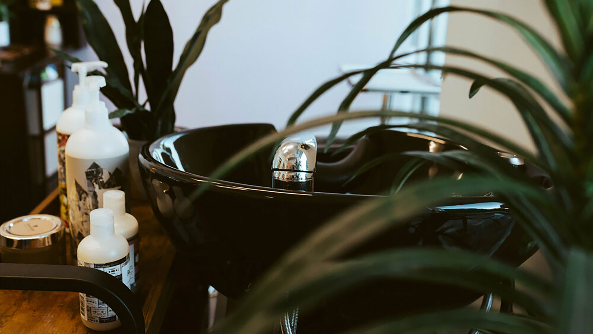 Services - Color Me Happy